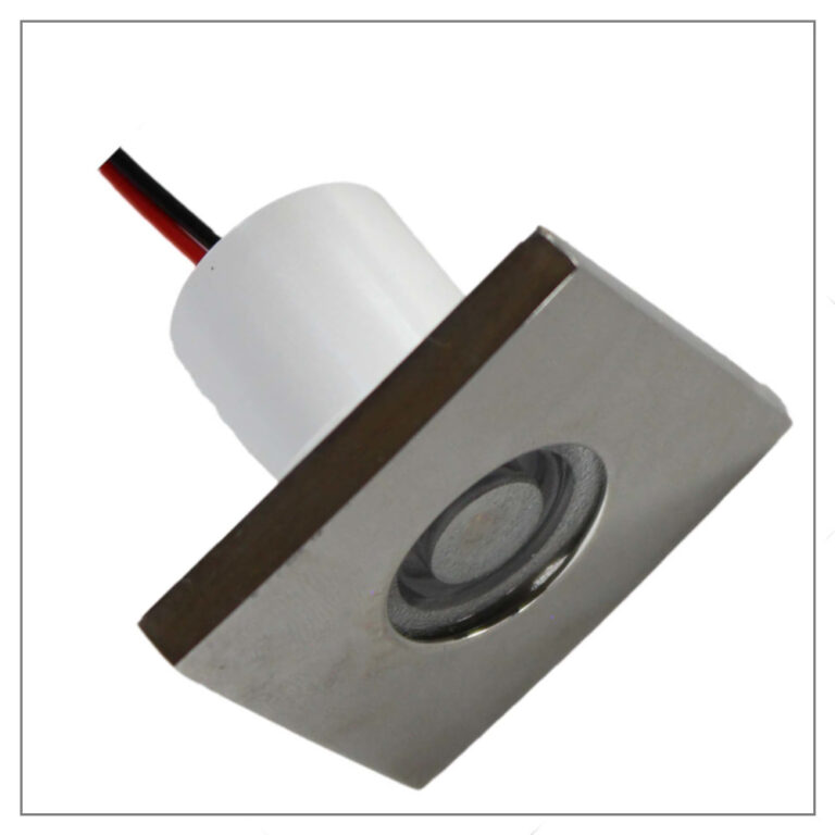 Cleo Square Courtesy Light – CASOLUX